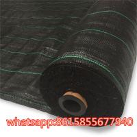 China Non Woven Anti Weed Mat Ground Cover 100% PP Fabric 60gsm 400gsm Weed Barrier for sale