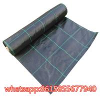 China Black PP Woven Silt Fence Weed Barrier Fabric 3ft x 50ft Anti Grass Agricultural Weed Control Mat for sale