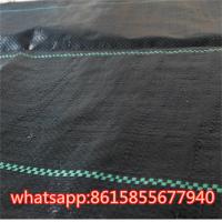 China Black PP Woven Silt Fence Weed Barrier Fabric 3ft x 50ft Anti Grass Agricultural Weed Control Mat for sale