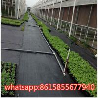 China Black PP Woven Silt Fence Weed Barrier Fabric 3ft x 50ft Anti Grass Agricultural Weed Control Mat for sale