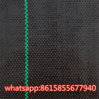 China Black PP Woven Silt Fence Weed Barrier Fabric 3ft x 50ft Anti Grass Agricultural Weed Control Mat for sale