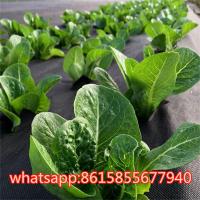 China Black PP Woven Silt Fence Weed Barrier Fabric 3ft x 50ft Anti Grass Agricultural Weed Control Mat for sale