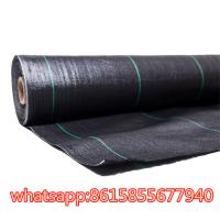 China PP Woven Weed Mat 60-400gsm Ground Cover Fabric for Garden Landscaping Weed Control for sale