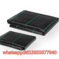 China PP Woven Weed Mat 60-400gsm Ground Cover Fabric for Garden Landscaping Weed Control for sale