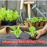 China PP Woven Weed Mat 60-400gsm Ground Cover Fabric for Garden Landscaping Weed Control for sale
