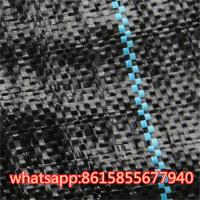 China PP Woven Weed Mat 60-400gsm Ground Cover Fabric for Garden Landscaping Weed Control for sale