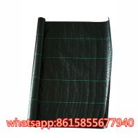 China PP PE Woven Plastic Weed Control Block Mat Fabric 60gsm 400gsm Agricultural Ground Cover for sale