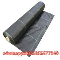 China PP PE Woven Plastic Weed Control Block Mat Fabric 60gsm 400gsm Agricultural Ground Cover for sale