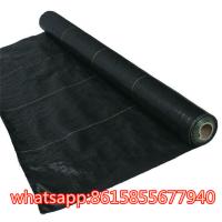China PP PE Woven Plastic Weed Control Block Mat Fabric 60gsm 400gsm Agricultural Ground Cover for sale