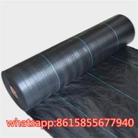 China PP PE Woven Plastic Weed Control Block Mat Fabric 60gsm 400gsm Agricultural Ground Cover for sale