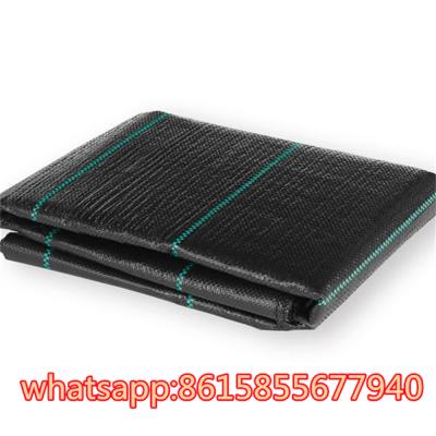 China PP Woven Weed Mat Ground Cover 60-400gsm 0.5-6m Width for Agriculture Garden for sale