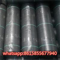 China PP Woven Weed Mat Ground Cover 60-400gsm 0.5-6m Width for Agriculture Garden for sale
