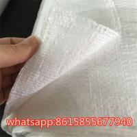 China Anti Weed Mat Black Mulch Polypropylene 100gsm Agriculture Farming Weed Barrier Fabric 1.6ft Width for sale