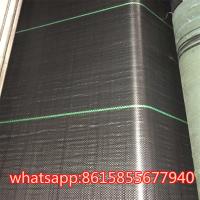China Anti Weed Mat Black Mulch Polypropylene 100gsm Agriculture Farming Weed Barrier Fabric 1.6ft Width for sale