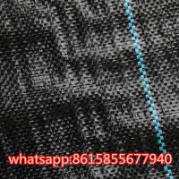 China Anti Weed Mat Black Mulch Polypropylene 100gsm Agriculture Farming Weed Barrier Fabric 1.6ft Width for sale