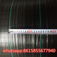 China Anti Weed Mat Black Mulch Polypropylene 100gsm Agriculture Farming Weed Barrier Fabric 1.6ft Width for sale