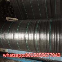 China Anti Weed Mat Black Mulch Polypropylene 100gsm Agriculture Farming Weed Barrier Fabric 1.6ft Width for sale