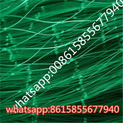 China Double Knot Nylon Monofilament Fishing Netting 100m Roll 0.30mm Diameter for sale