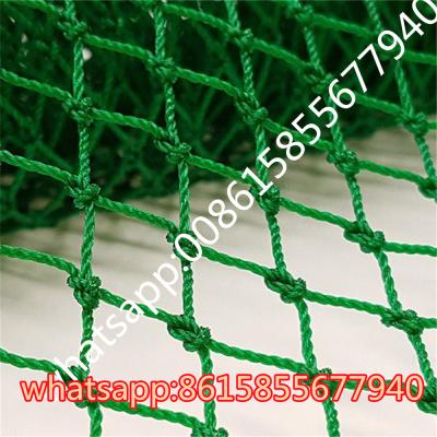 China PE Material Safety Net Knotless Fish Net 2 Inch Mesh Size 100m Length for sale