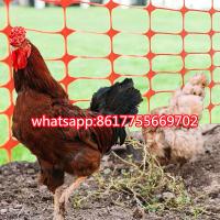 China Orange HDPE Woven Warning Safety Net 1m-1.8m Height for Construction Site Protection for sale