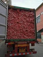 China HDPE Orange Plastic Safety Fence 1m-1.8m Height UV Stabilized Portable Barrier for sale
