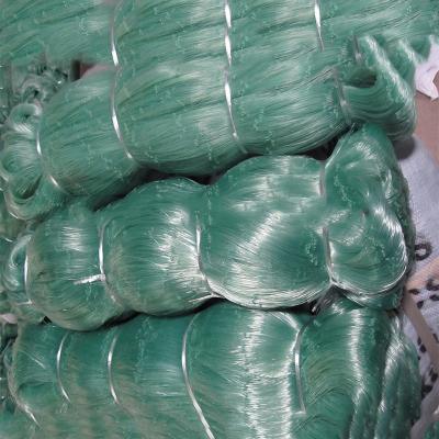 China Nylon Monofilament Shrimp Fishing Net 100m Green for Uruguay Export for sale