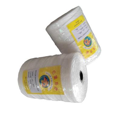 China High Tenacity Nylon Braided Twine Rope 2mm White Fishing Net Cord for sale