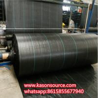 China PP Woven Weed Barrier Ground Cover Fabric 90gsm 1m Wide UV Treated Anti Weed Mat for sale