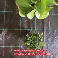 China PP Woven Weed Barrier Ground Cover Fabric 90gsm 1m Wide UV Treated Anti Weed Mat for sale