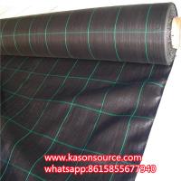 China PP Woven Weed Barrier Fabric 90gsm 1m x 50m UV Treated Ground Cover for Agriculture for sale