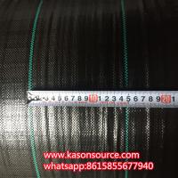 China PP Woven Weed Barrier Fabric 90gsm 1m x 50m UV Treated Ground Cover for Agriculture for sale