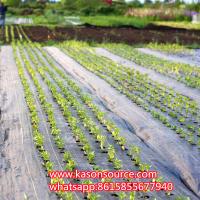 China PP Woven Weed Barrier Mat 90gsm UV Treated Agricultural Ground Cover Fabric 1m x 50m for sale
