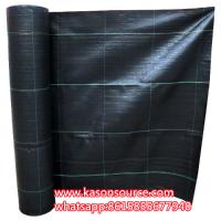 China PP Woven Weed Barrier Fabric 90gsm UV Treated Ground Cover for Horticulture for sale