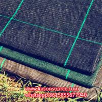 China PP Woven Weed Barrier Fabric 90gsm UV Treated Ground Cover for Horticulture for sale