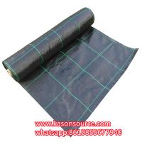 China heavy duty bio-degradable ground cover weed barrier for sale