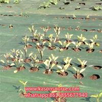 China 100gsm Black PP Woven Weed Barrier Landscape Fabric Ground Cover 1m x 50m for sale