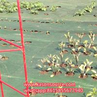 China PP PE Woven Anti Weed Mat Landscape Fabric Barrier 90gsm 1m Width for Farm Use for sale