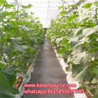 China PP Woven Weed Control Mat 90gsm Ground Cover Fabric Anti Grass Landscape Garden Cloth 3-5 Year UV Treated for sale