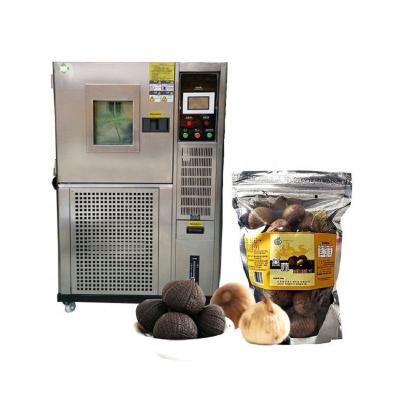 China CE Certified Black Garlic Fermenter Machine 80L Energy Saving for sale