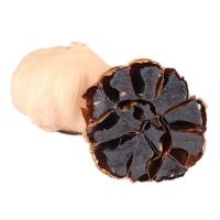 China CE Certified Black Garlic Fermenter Machine 80L Energy Saving for sale