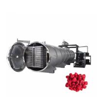 China 50kg Vacuum Freeze Drying Machine Large Scale Freeze Dryer 12 Trays for sale