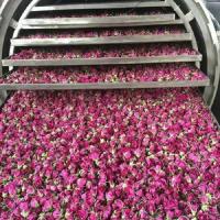 China SS304 SS316 Food Vacuum Freeze Dryer Machine Vacuum Lyophilization for sale