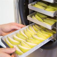 China Hotel Fruit Vegetable Food Vacuum Freeze Dryer Machine 0.1m2 750W for sale