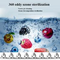 China Ozone Fruit And Vegetable Washing Machine 200KG/H Stainless Steel 304 Material for sale