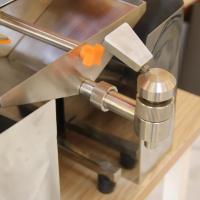 China CE  ISO  Industrial Orange Juice Extractor Commercial Grapefruit Juicer 370W for sale