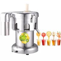 China Extra Large Feeding Tube Commercial Fruit Juicer Juice Making Equipment 750W for sale