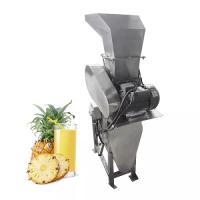 China Strawberry Apple Juice Making Machine SUS304 Industrial Carrot Juicer 3W for sale