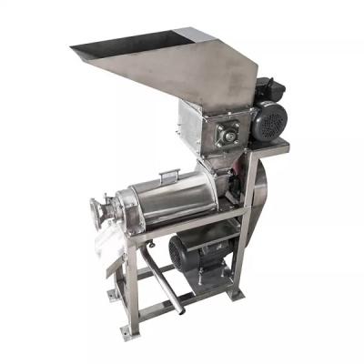 China Strawberry Apple Juice Making Machine SUS304 Industrial Carrot Juicer 3W for sale
