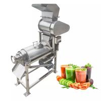 China Strawberry Apple Juice Making Machine SUS304 Industrial Carrot Juicer 3W for sale