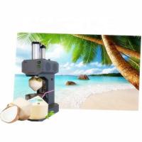 China Multifunctional Fruit Vegetable Processing Machine Automatic Coconut Peeling Machine for sale
